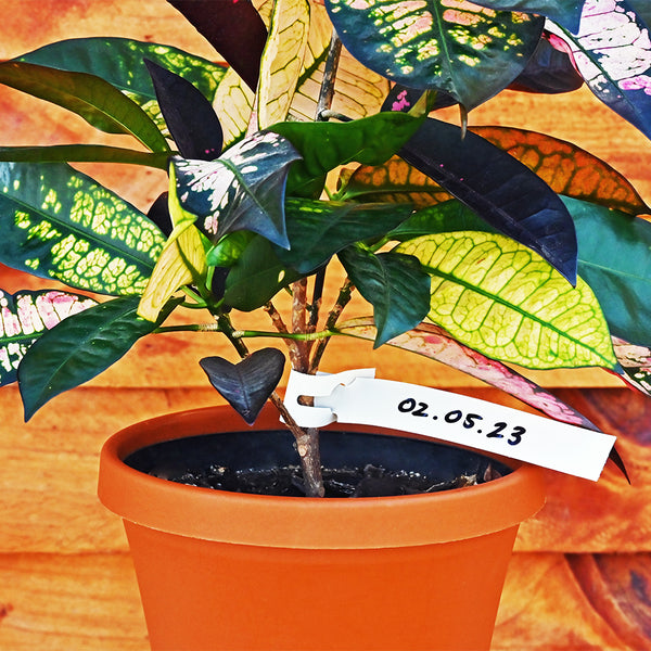PVC Self-Tie Labels - Plastrip