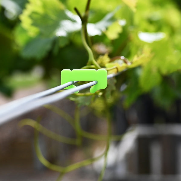 Vitagraf Canopy Clips - Plastrip