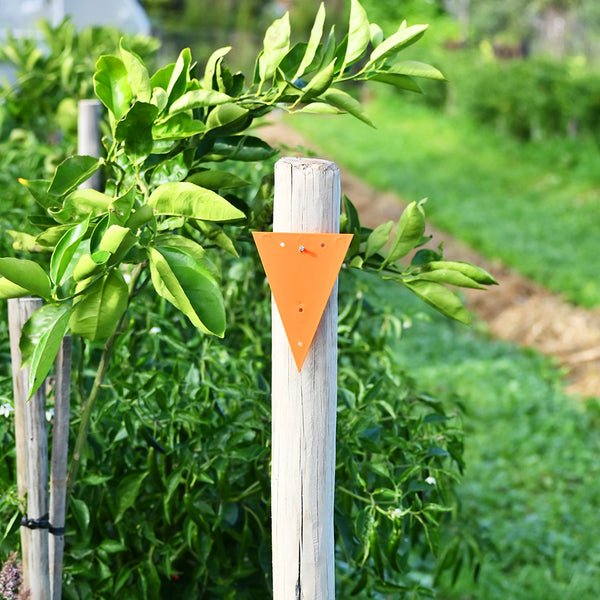 Triangle Trail Markers - Plastrip