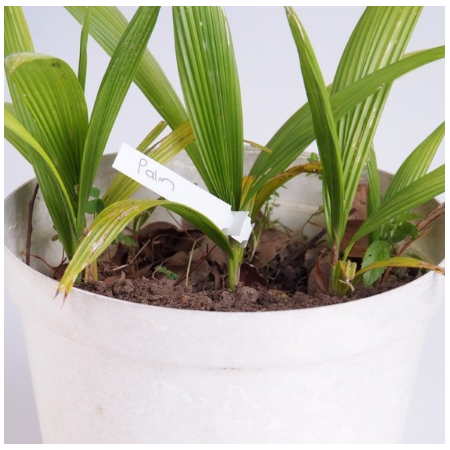 Tyvek Self-Tie Labels - Plastrip